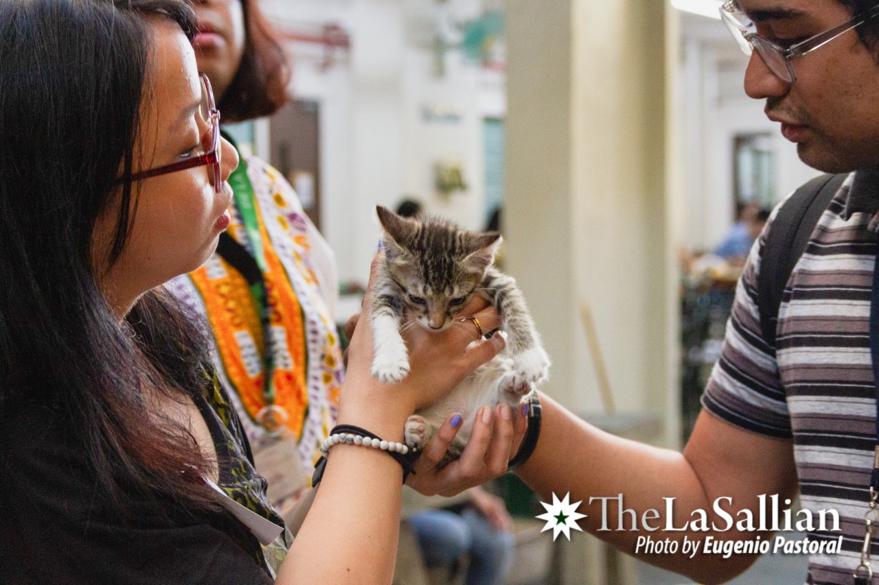 Lasallian Mission Week 2018: In celebration of values and virtues — Part 1 – The LaSallian