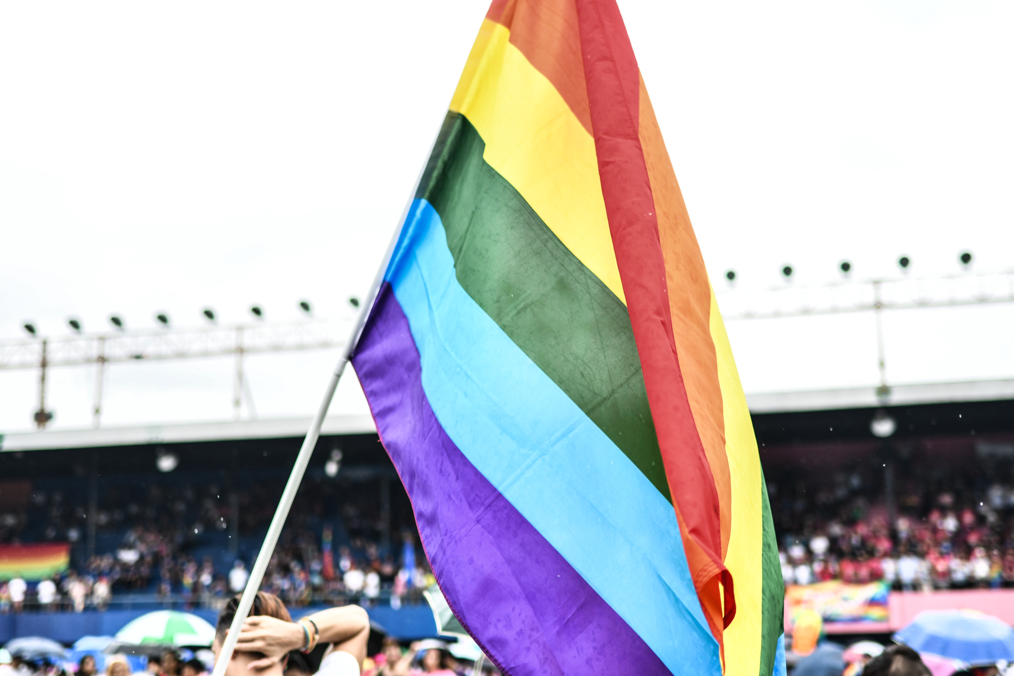 Strutting with Pride: Representation through ARTSvocacy Journey – The ...