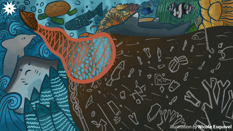 Behind the catch: Destructive fishing practices in the high seas – The ...