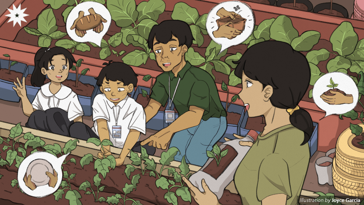 Gulayan sa Paaralan Program sows a path toward food security – The ...
