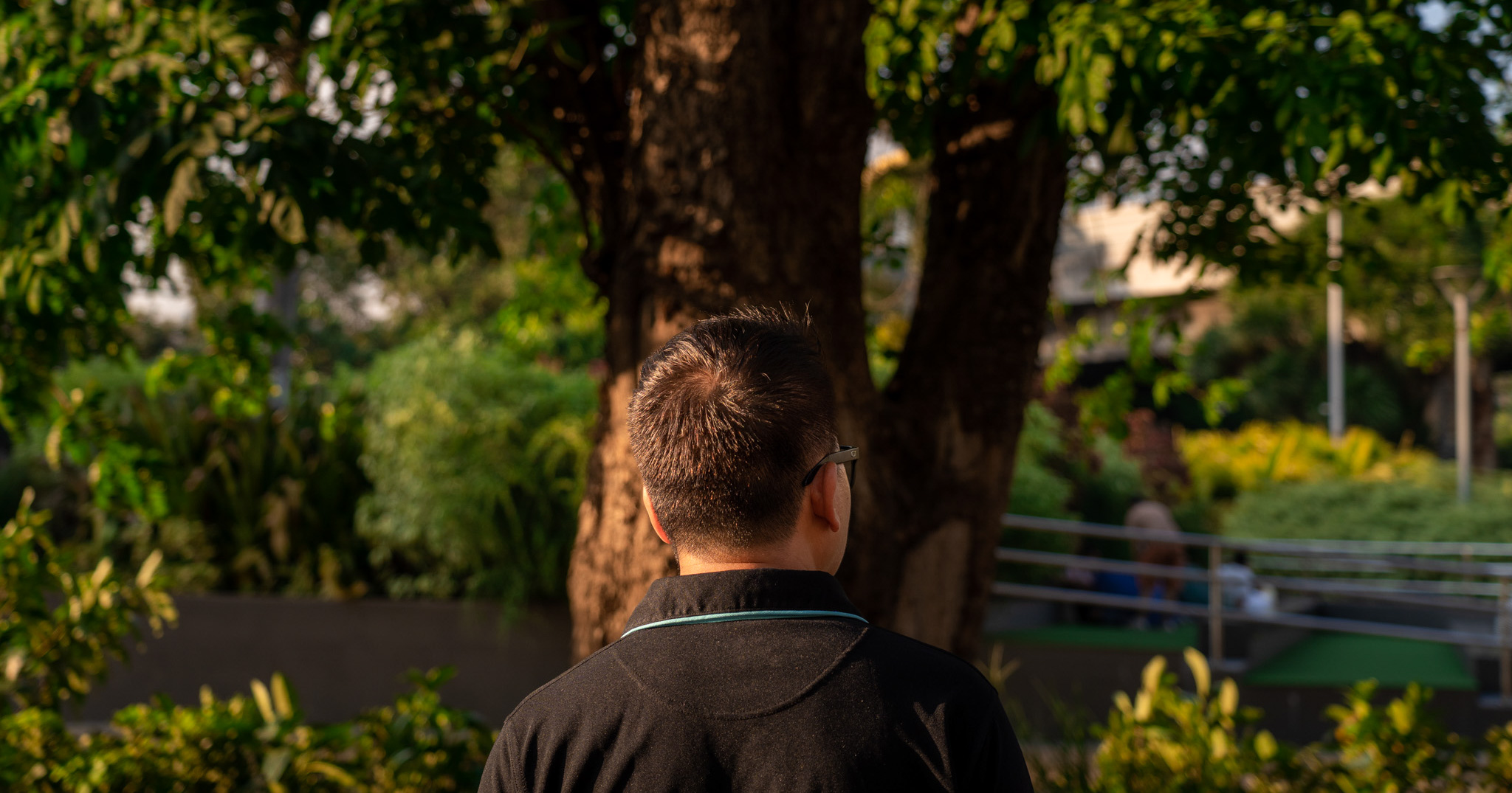 More than a place for leisure, public parks can keep us alive – The ...